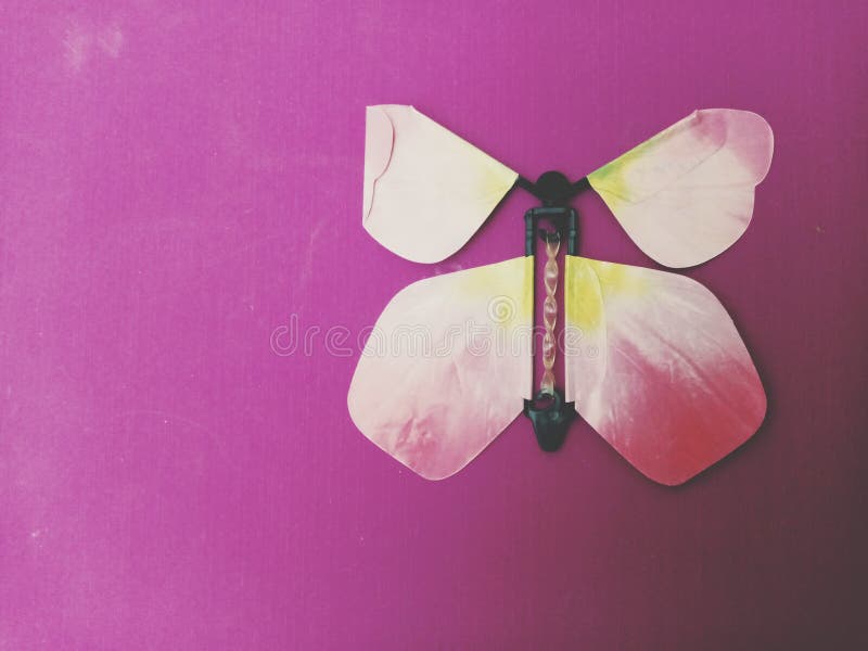 Paper Butterfly with Pale Pink Wings Stock Image - Image of pattern ...