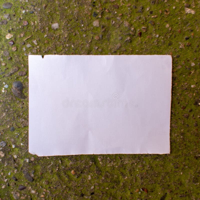 Paper on Concrete Frame As Copy Space. Flat Lay Stock Photo - Image of ...
