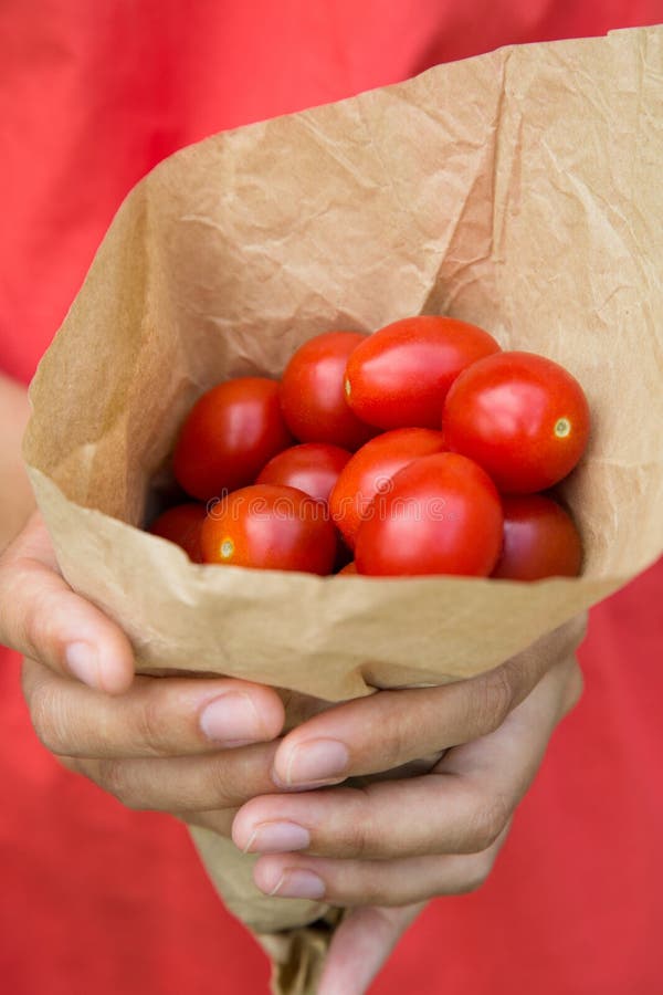 Woman hands typing stock photo. Image of keypad, computing - 33546738