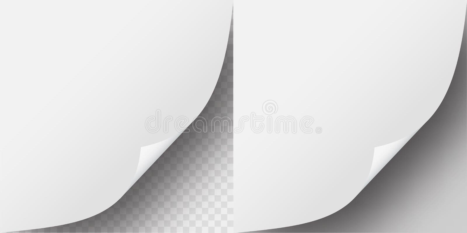 Paper curl shadow effect . stock vector. Illustration of layout - 88821184