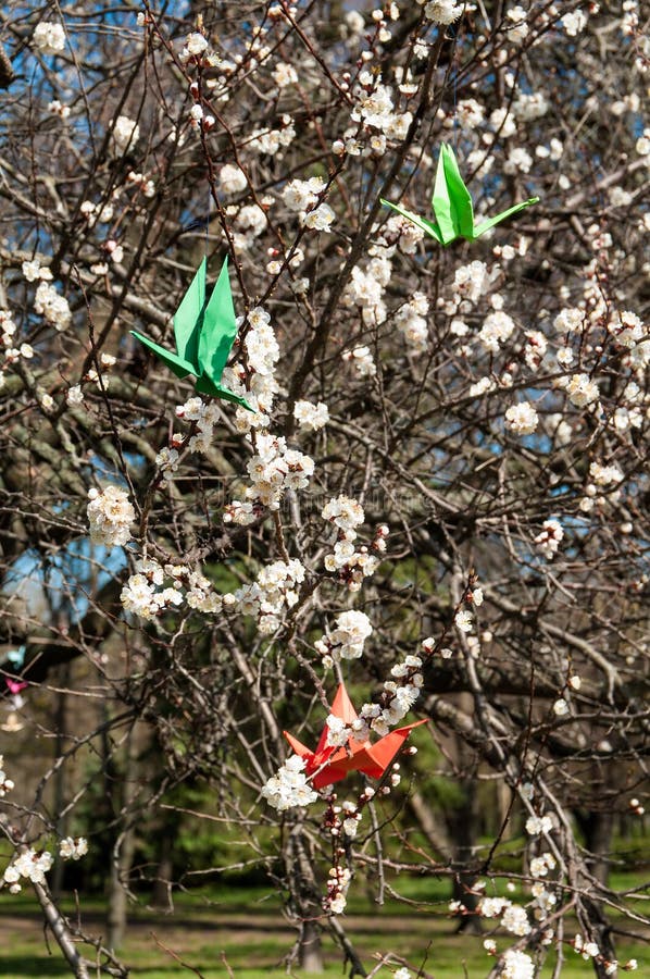 Paper Crane. Blooming the Apricot Tree Stock Photo - Image of color ...