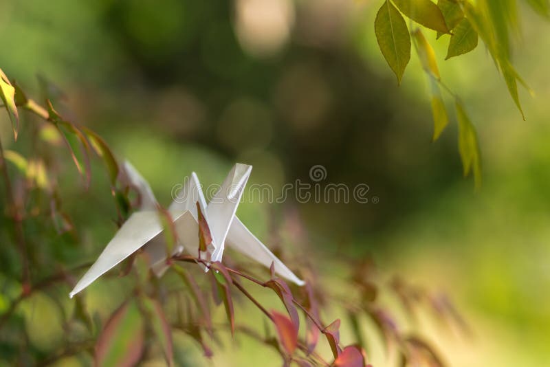 Paper Crane on the Tree in Garden Stock Photo - Image of hobby, paper ...