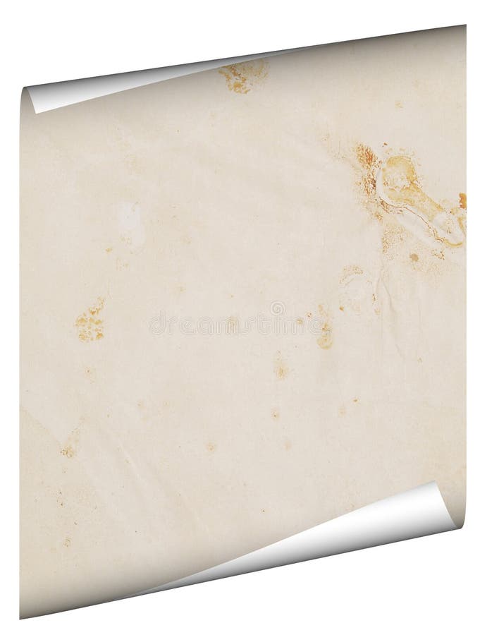 Paper with curl stock photo. Image of board, curl, border - 7870504