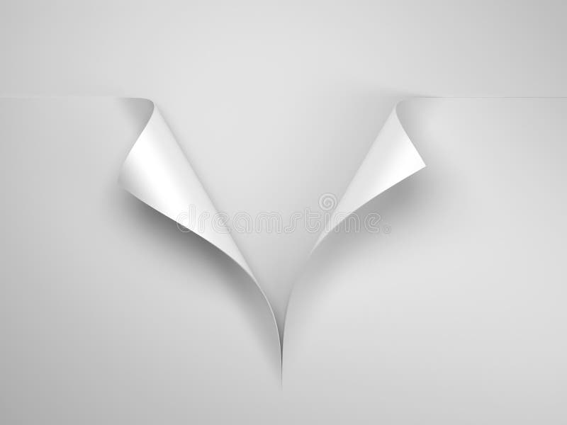 Paper with the Curled Corner, 3d Stock Illustration - Illustration of ...