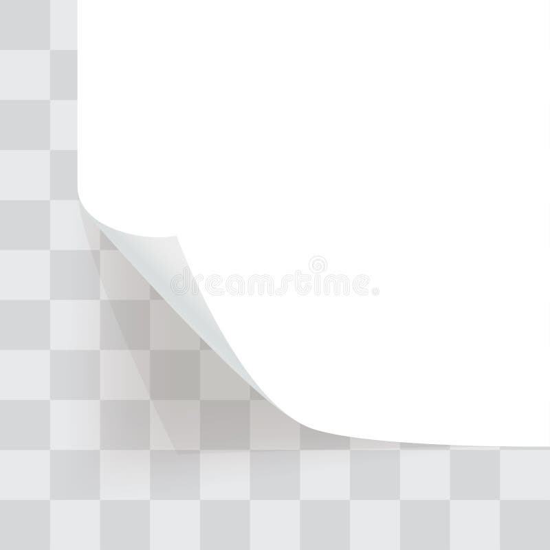 A Paper Curled Corner on Template Back Stock Vector - Illustration of ...
