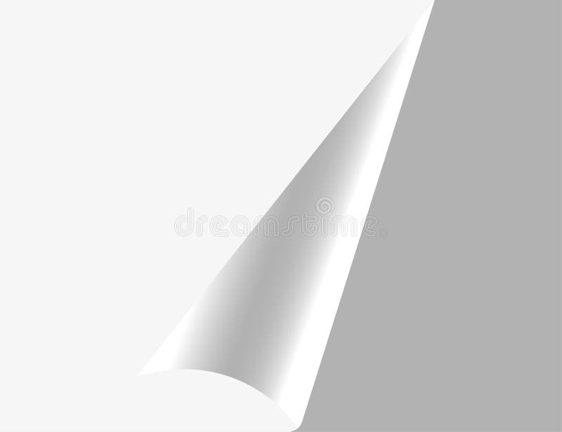 Paper with a Curled Edge Vector Illustration. Flat Design Stock Vector ...