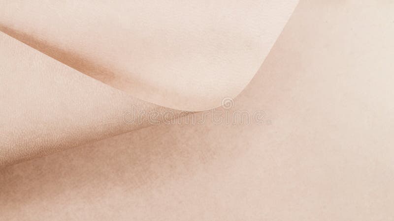 Paper Curled Pink Page Texture. High Quality Photo Stock Photo - Image ...