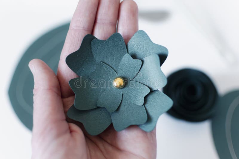 Paper Cutting, Ornament, Design and Model Cut with a Cutting Plotter ...