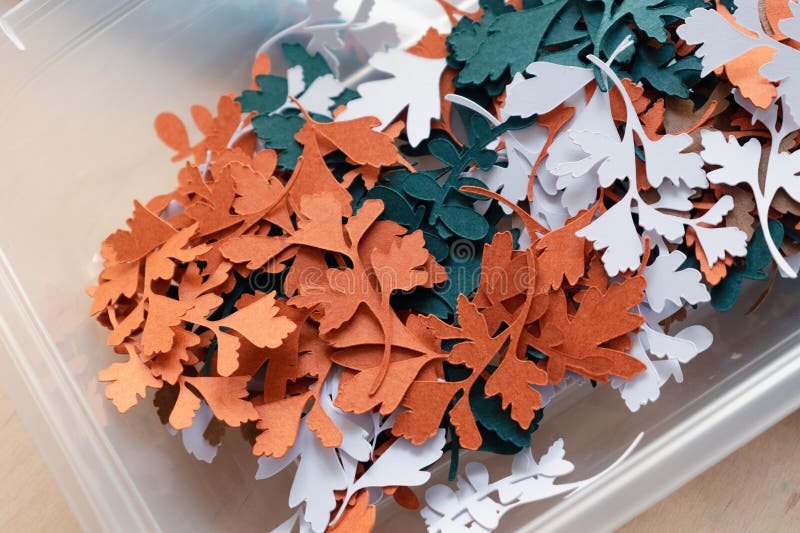 Paper Cutting, Ornament, Design and Model Cut with a Cutting Plotter ...