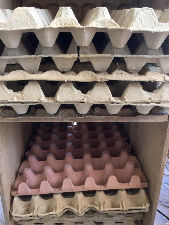 Paper egg crate stock photo. Image of nature, package - 44452078
