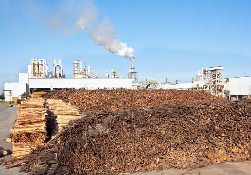 Paper Factory stock photo. Image of stem, lumber, industry - 28180708