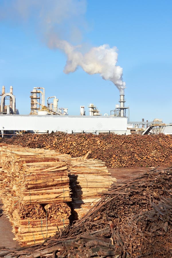 Paper Factory stock photo. Image of stem, lumber, industry - 28180708