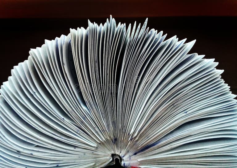 Paper fan stock photo. Image of paper, sheets, notebook - 117217796