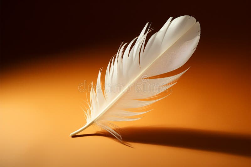 Paper Features a Gracefully Placed Feather, an Artistic Composition ...
