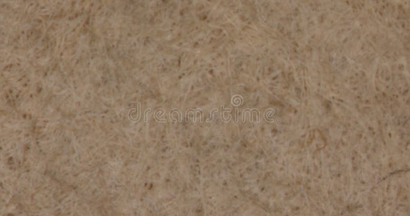 Paper fibers stock footage. Video of drink, macro, microscopy - 200301250