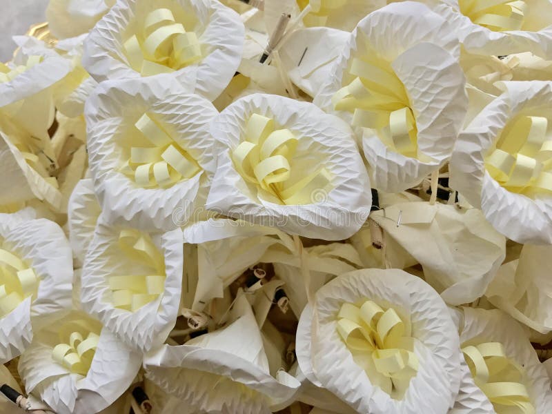 Paper flower stock photo. Image of texture, funeral, wallpaper - 89613718