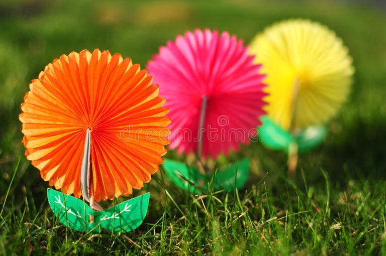 1,603 First Paper Nature Stock Photos - Free & Royalty-Free Stock ...