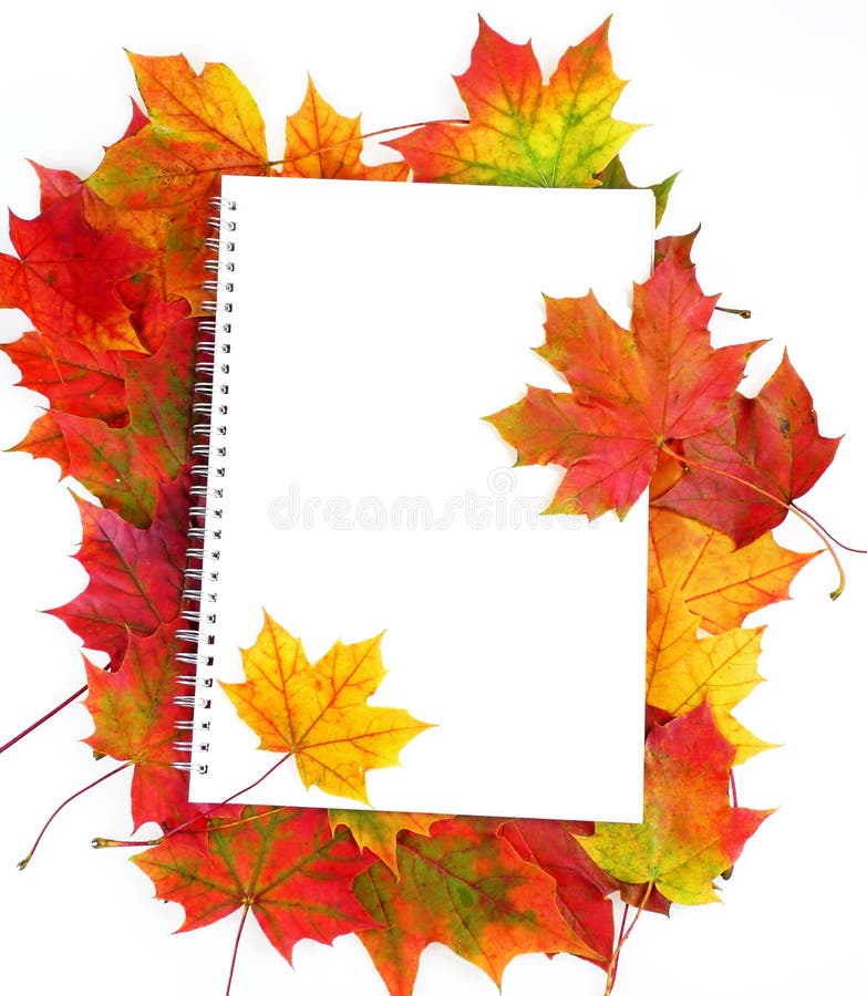 Close Up of Autumn Leaves with Paper by Laptop Stock Photo - Image of ...