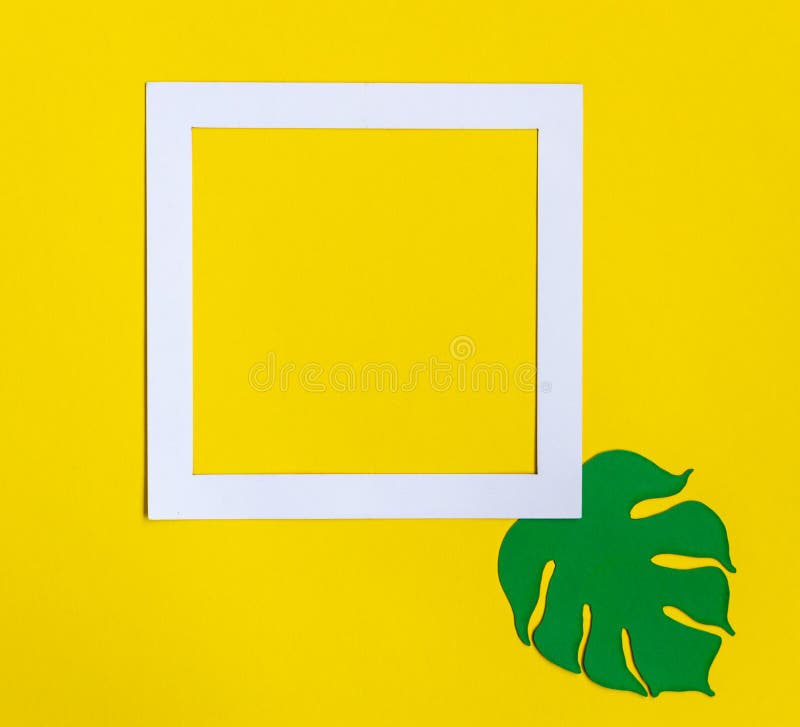 Paper Frame on Yellow Background with Monstera Leaves Stock Photo ...