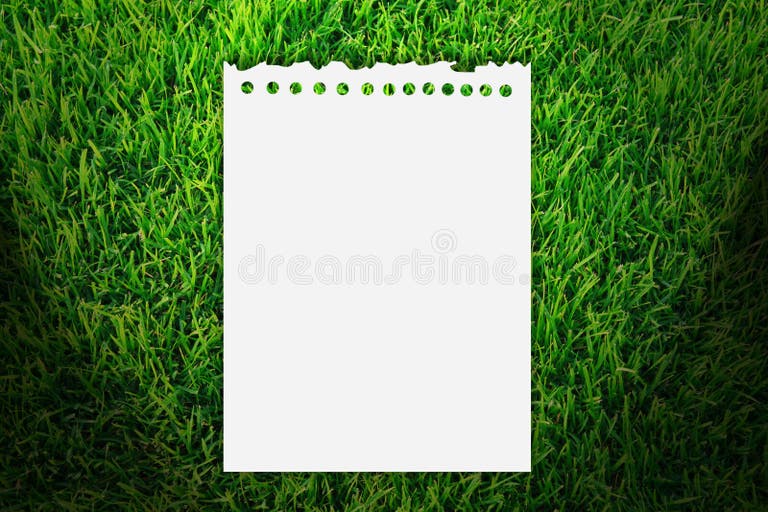 14,800 Grass Paper Texture Stock Photos - Free & Royalty-Free Stock ...
