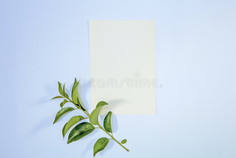 A5 Paper Greeting Card Mockup on Wooden Background Stock Image - Image ...