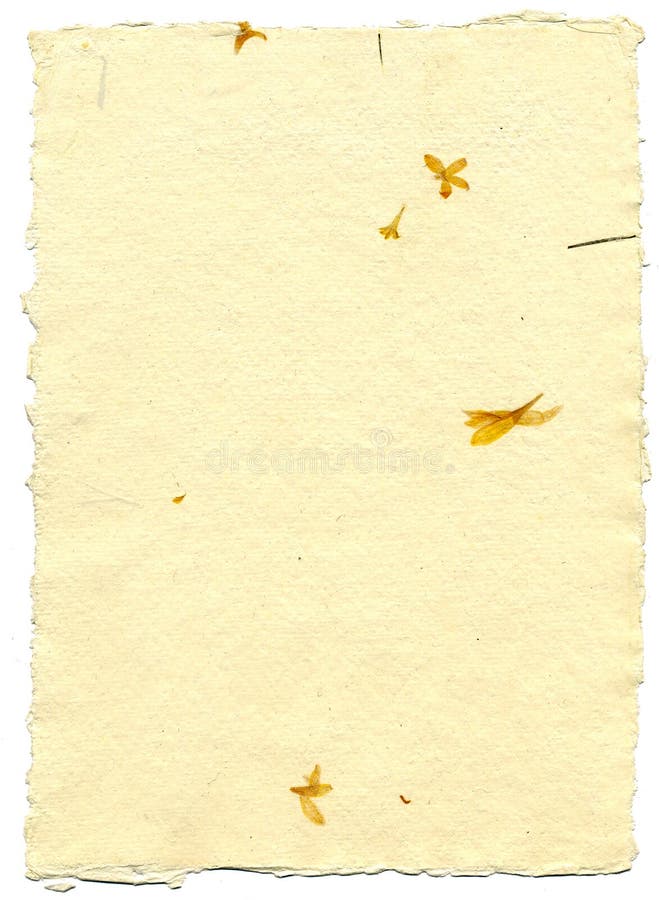 Paper combine stock photo. Image of paper, roll, department - 116808