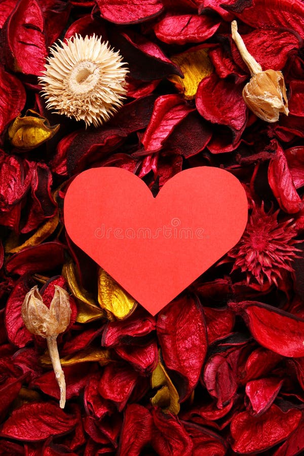 Paper Heart on Red Potpourri - Series 5 Stock Photo - Image of ...