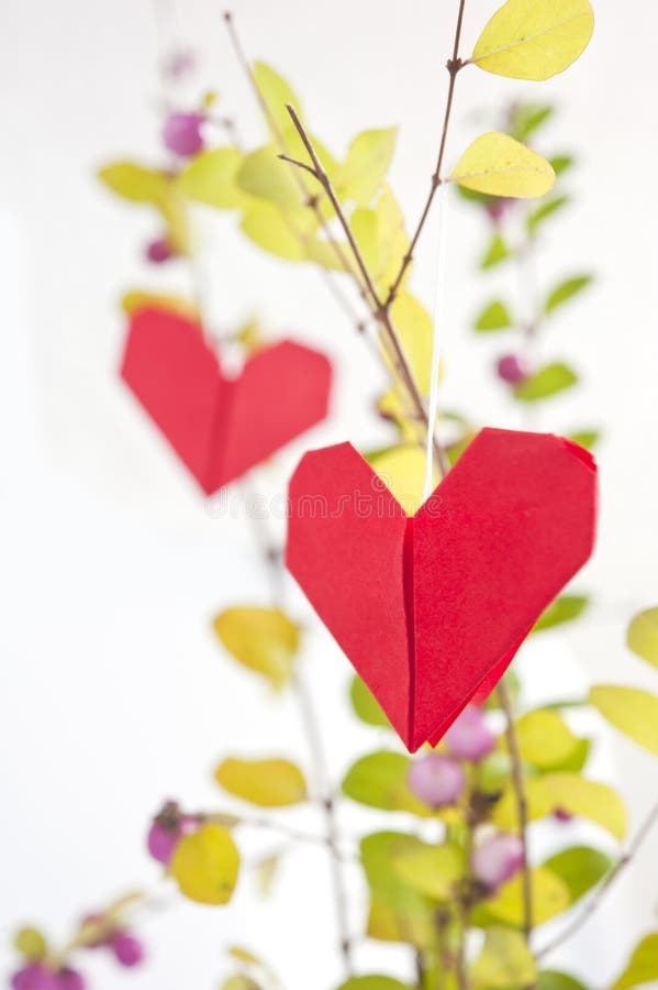 Paper heart on a tree stock photo. Image of present, branch - 22528862