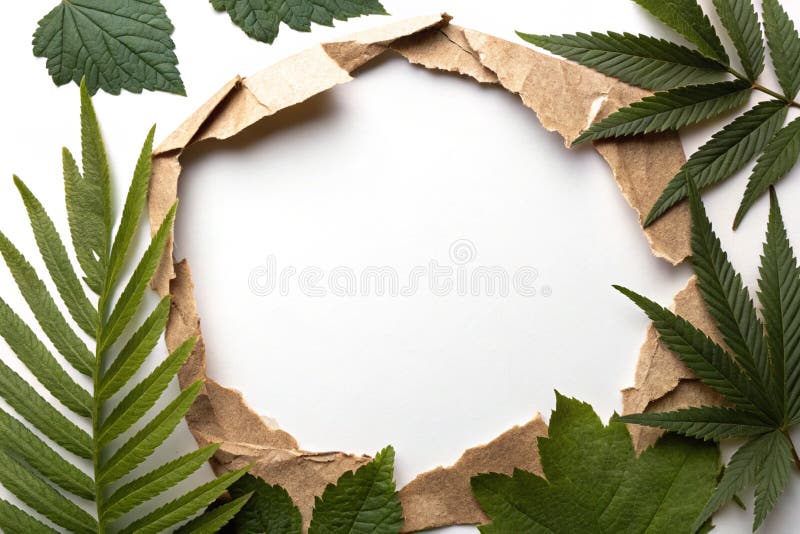 Paper Hole with Torn Edges Design Template Stock Illustration ...