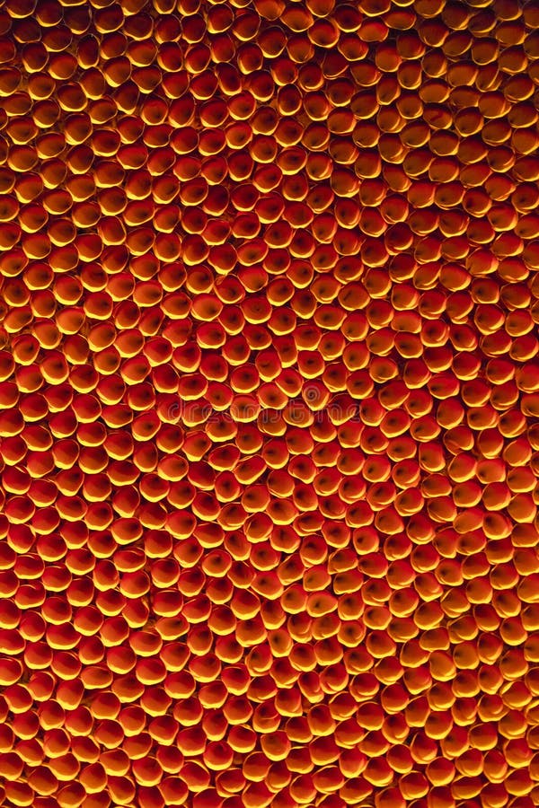 Paper Honeycomb Texture Background Stock Image - Image of design ...