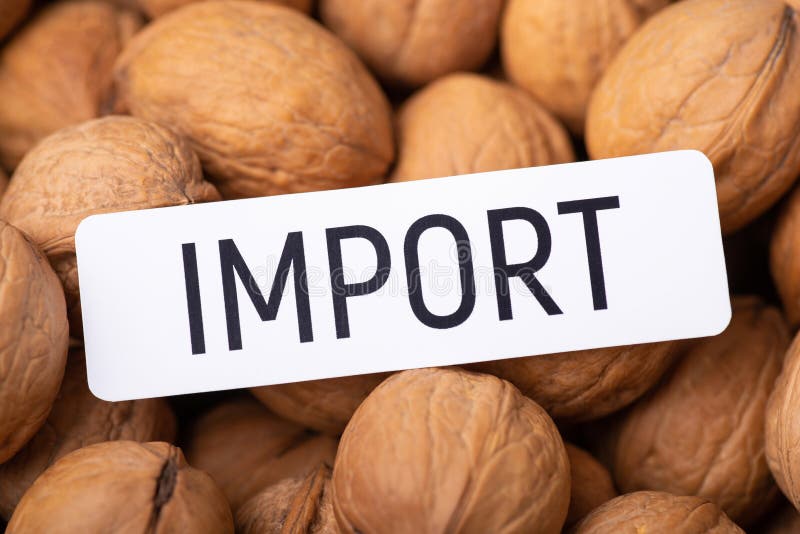 Paper import on walnuts stock image. Image of health - 269843515