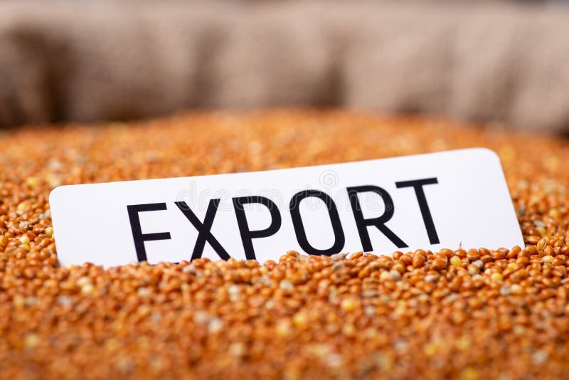 Trade of Millet between Countries Stock Photo - Image of trade, yellow ...