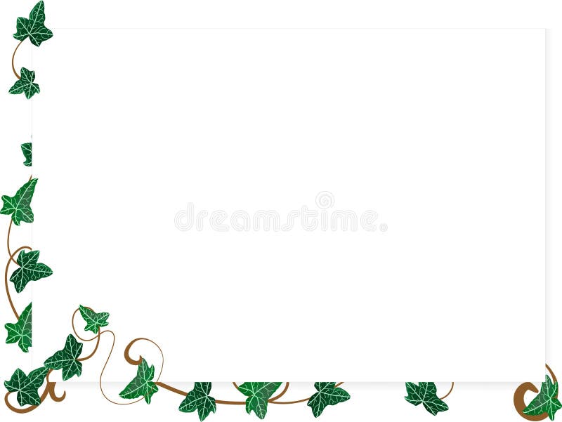 Paper with ivy leaves stock vector. Illustration of green - 8261554