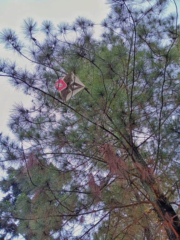 A Paper Kite Whose String Broke and Flew Erratically, Ended Up Getting ...