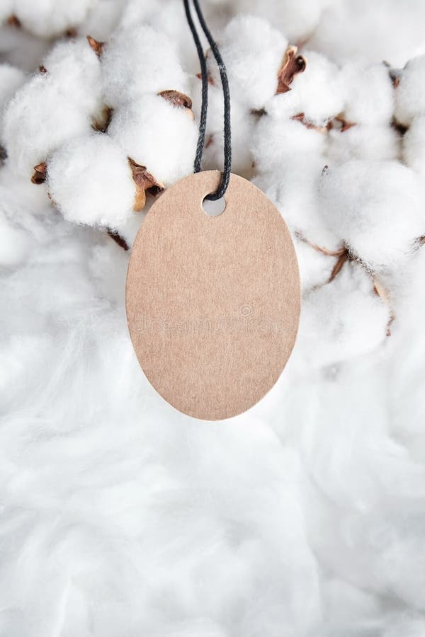Paper Label Tag with White Cotton Flowers Stock Image - Image of ...