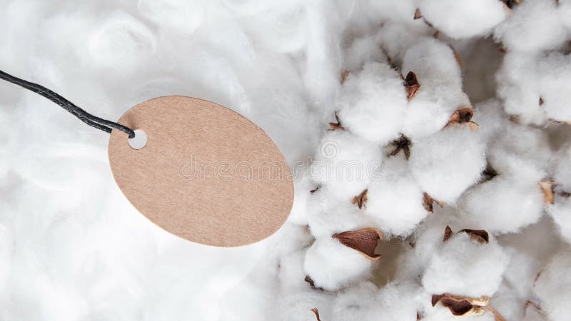 Paper Label Tag with White Cotton Flowers Stock Photo - Image of ...