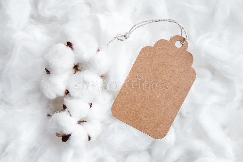 497 White Paper Tag Cotton String Png Stock Photos - Free & Royalty ...