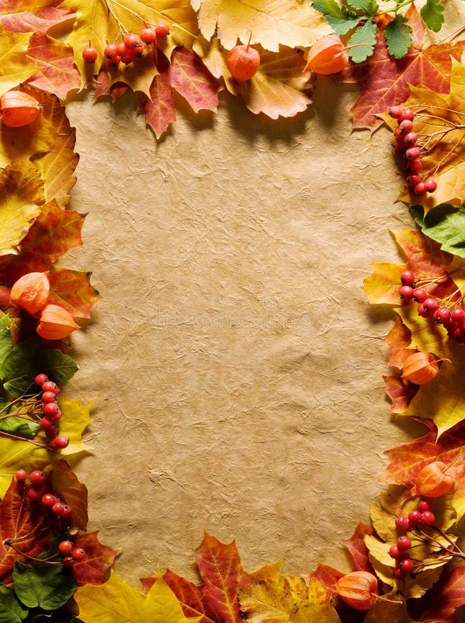 Paper and leaves stock photo. Image of green, arrangement - 7024908