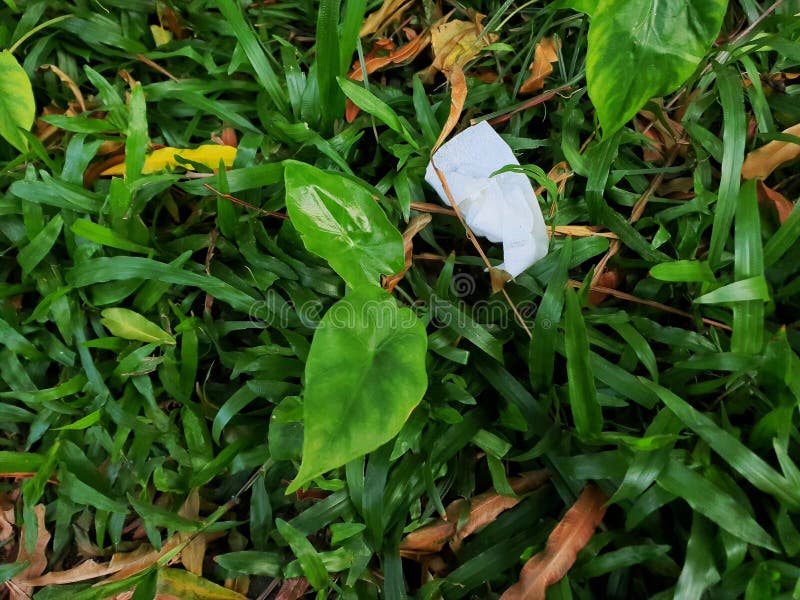 Paper litter in the field stock image. Image of lawn - 335666557