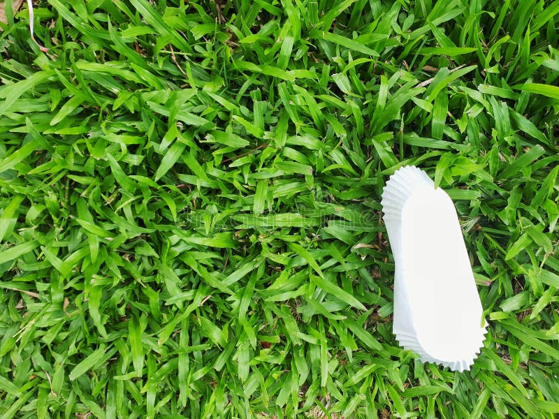Paper litter in the field stock photo. Image of green - 337215760