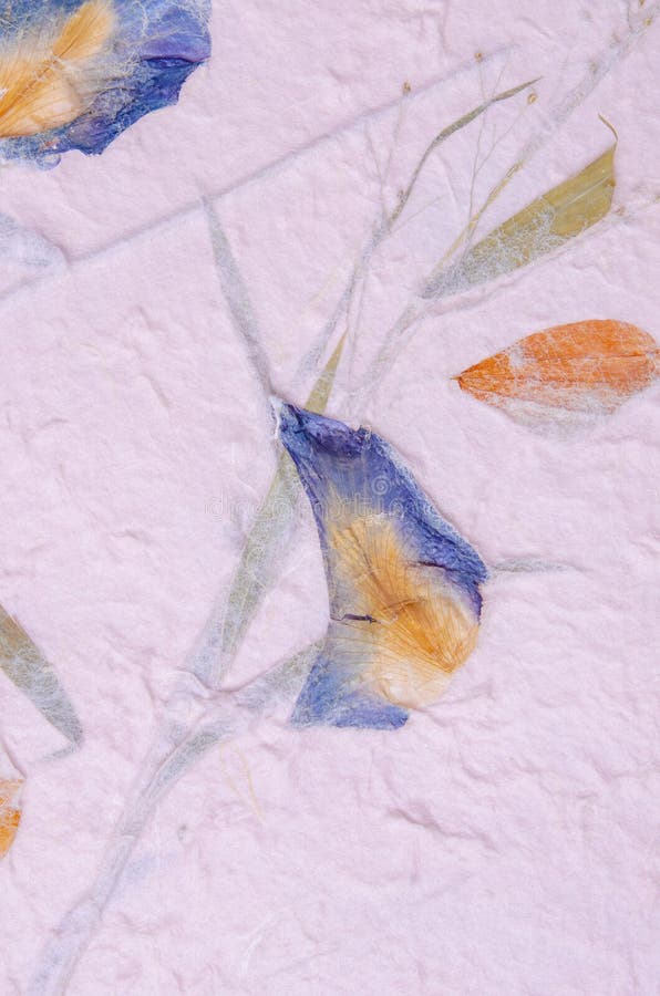 The Paper Made from Dry Flowers and Leaves Stock Image - Image of ...