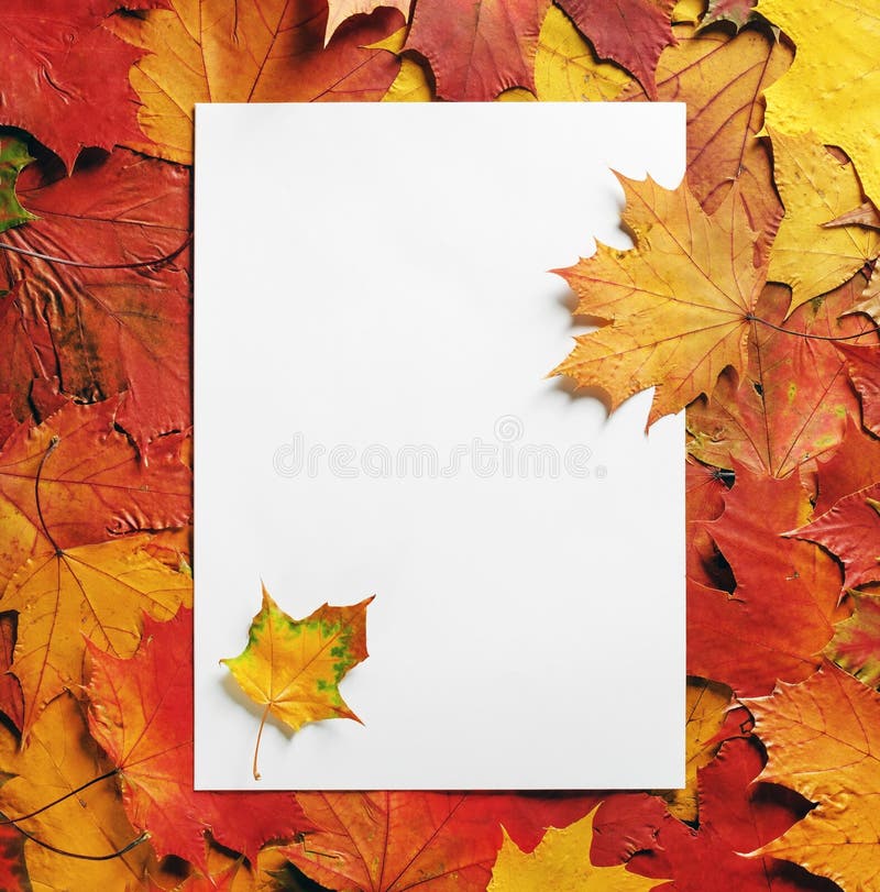 Paper, maple leaves stock photo. Image of environment - 129364154