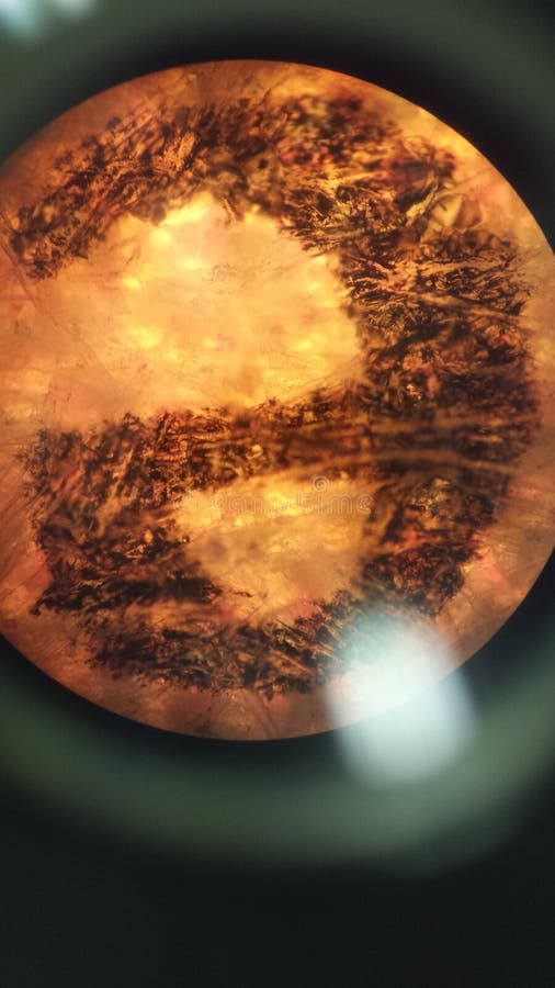 Paper microscopic. stock image. Image of microscopic - 113612799