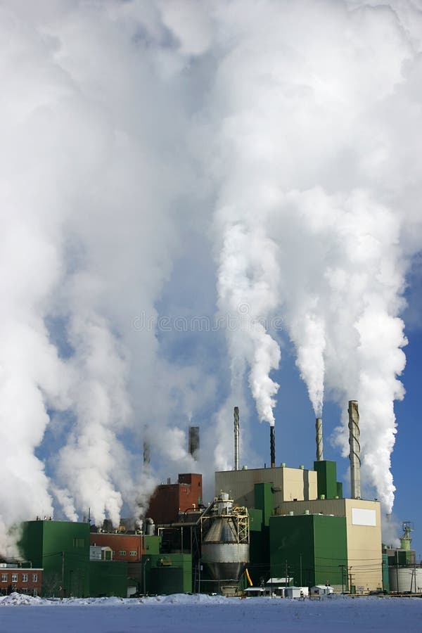 Paper Mill with Stacks of Trees To Be Processed Stock Image - Image of ...