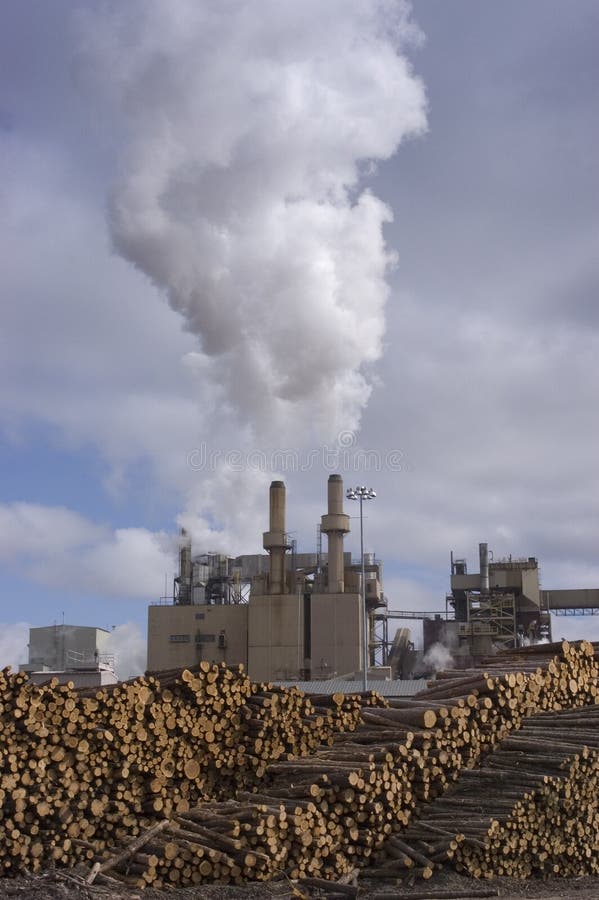 Paper Mill with Stacks of Trees To Be Processed Stock Image - Image of ...