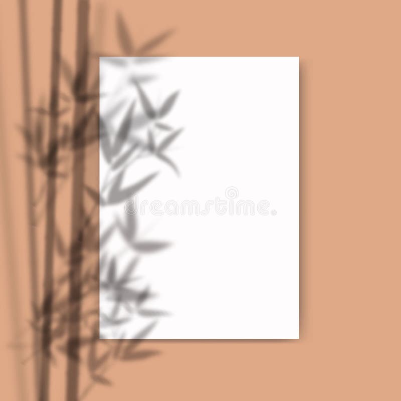A4 Paper Mockup with Overlay Leaf Shadow from Window. Bamboo Branch ...