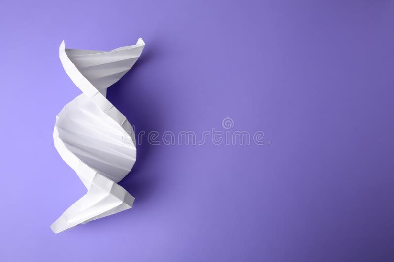 Paper Model of DNA Molecular Chain on Violet Background, Top View ...