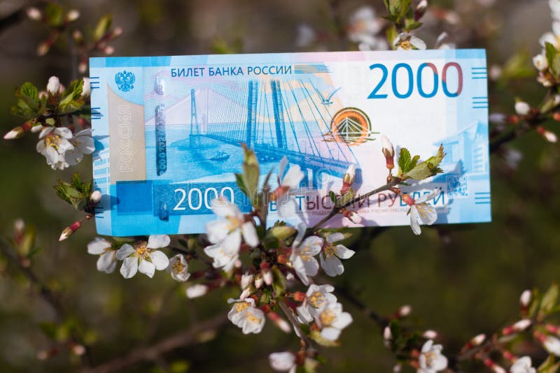 Paper Money on the Tree. Money Grows on a Tree Stock Image - Image of ...
