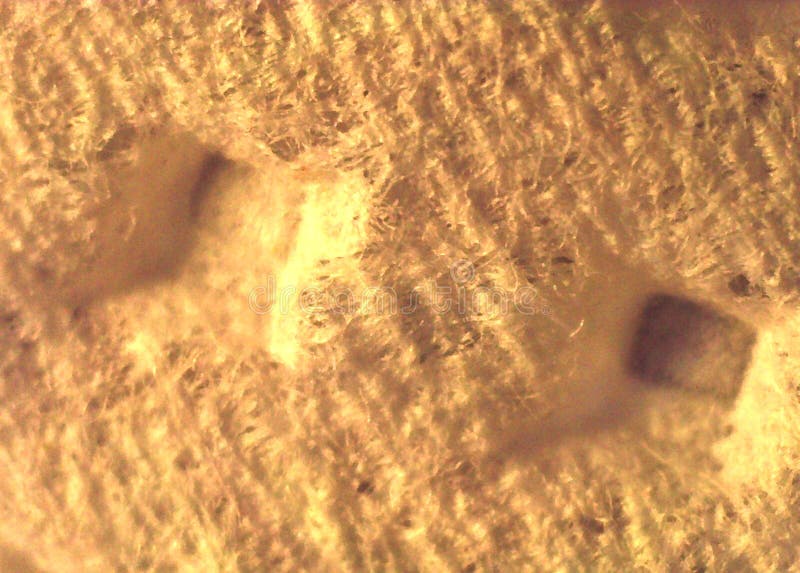 Paper Napkin Under Magnification. Image Under the Microscope, Micro ...