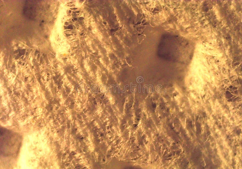 Paper Napkin Under Multiple Magnification. Image Under the Microscope ...